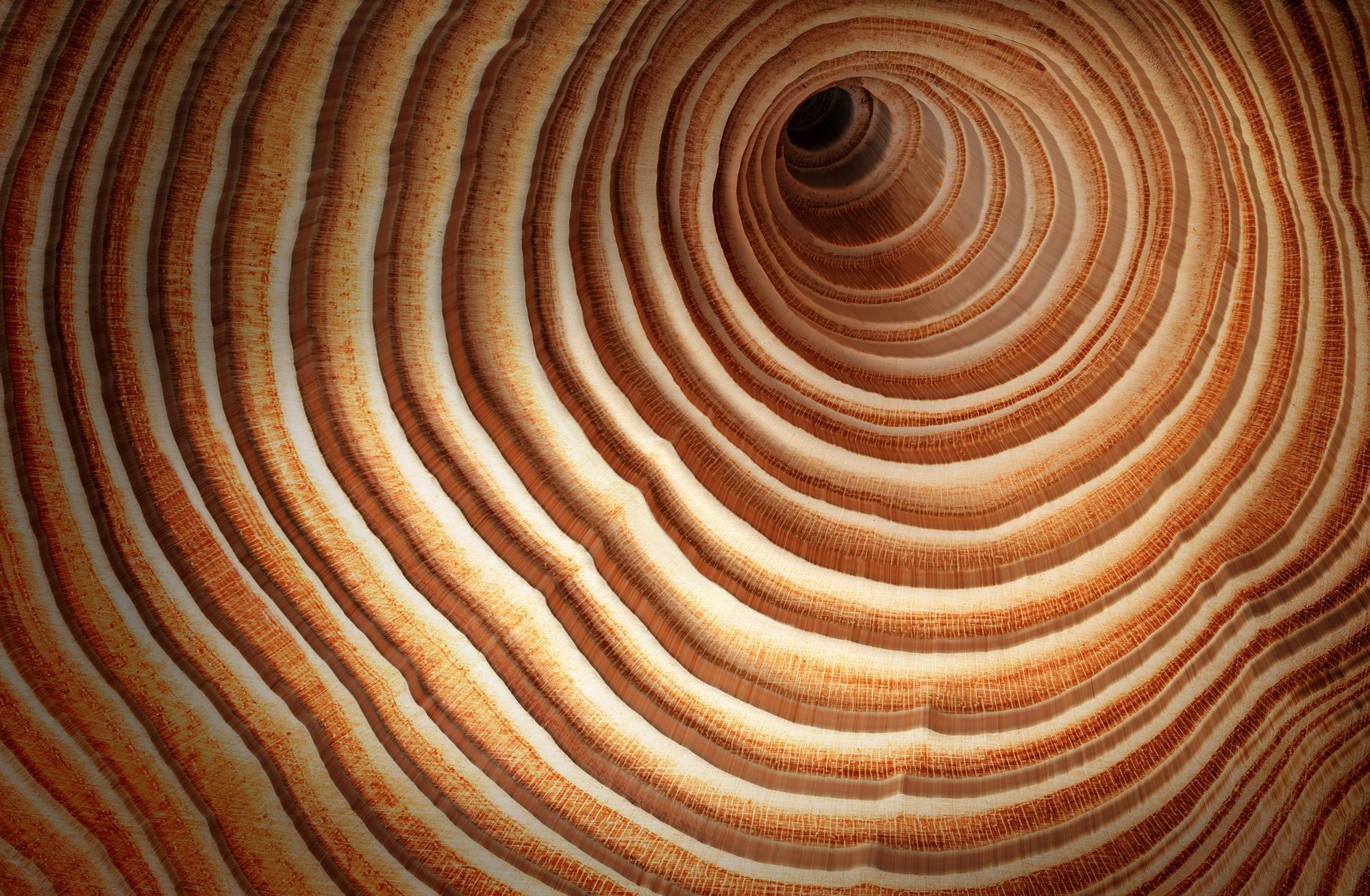 The Silent Suffering When Your Body Becomes Damaged Like Wood Nyt